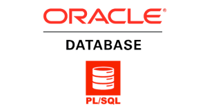 Oracle PL/SQL: SELECT INTO | AMY SIMPSON-GRANGE – BLOG